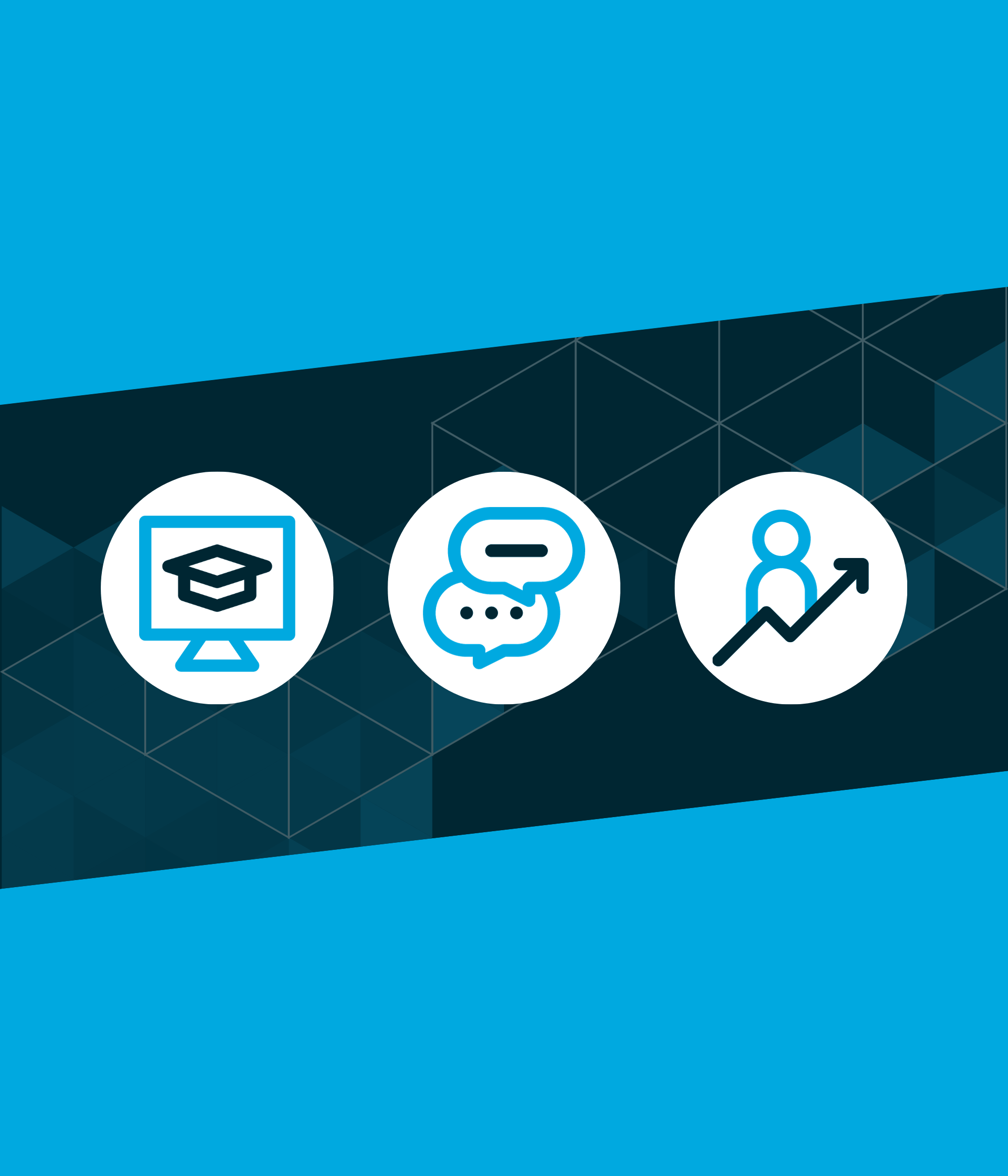 The Why and How of Professional Development for Associations and Non ...